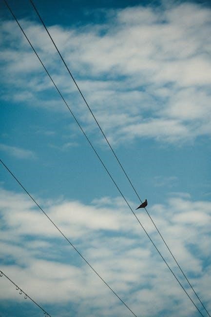 Wire Guide: Expert Tips for Mastering Wire Work